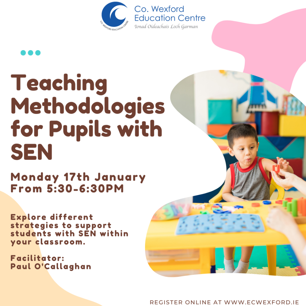 Teaching Methodologies For Pupils With SEN Video Conferencing Seimine r teaching-methodologies-for-pupils-with-sen-video-conferencing-seimine-r