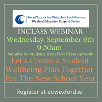 SNA Courses Cursaí - Welcome to Wexford Education Centre, Ireland